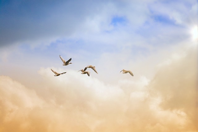 Comfort in Loss: A Poem I’ll Never Forget – Coping With the Death of a ...