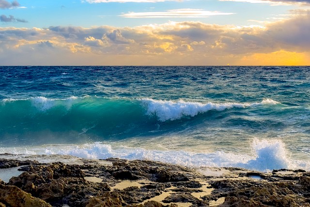 Grief From Child Loss: Riding the Emotional Waves – Coping With the ...